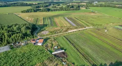 Kunst verbindt culturen bij Hof van Rhee